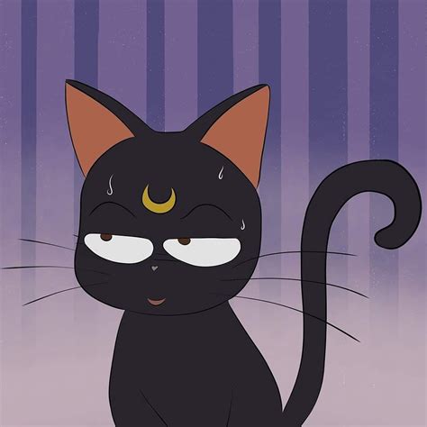 Sailor Moon Luna Vector Art Usagi Why Are You This Way