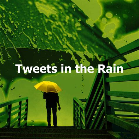 Tweets In The Rain Album By Rainfall Spotify