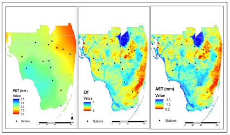 Remote Sensing Free Full Text Operational Actual Wetland