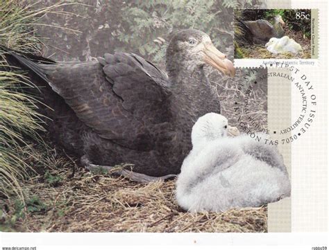 The Collectable You Are Looking For Is On Delcampe Antarctic
