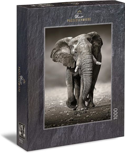Ulmer Puzzleschmiede Puzzle Der Wanderer Klassisches 1000 Teile