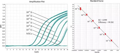 Quantification Methods Extracted Dna Rna