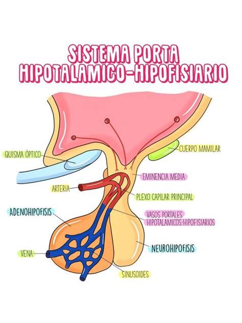 Sistema Porta Enfermero Isaias Rivas Enfermeroisaiasrivas UDocz