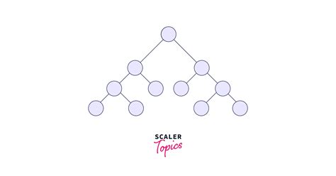 types of binary tree scaler topics