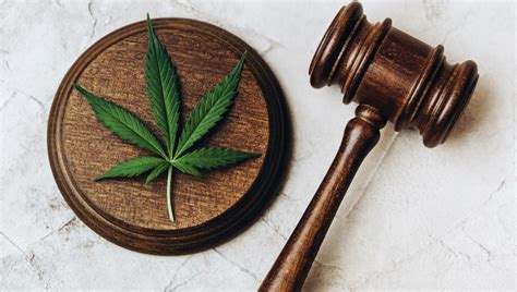 Faut il légaliser le cannabis France Bleu
