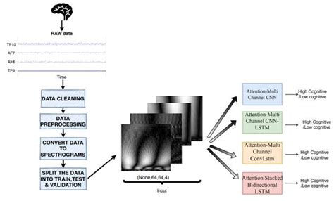 proposed methodology for the classification of cognitive load using eeg download scientific
