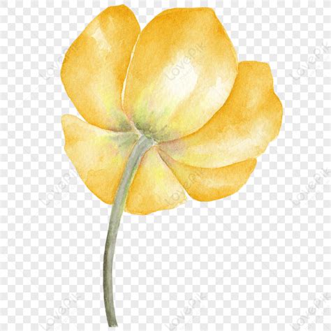 Watercolor Flowers Flower Simple Flower Watercolor Simple Watercolor