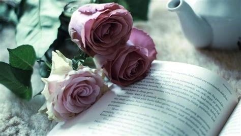 Por qué el 23 de abril se regala un libro y una rosa nnda nnlt MIX