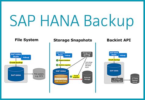 Backupmöglichkeiten von SAP HANA