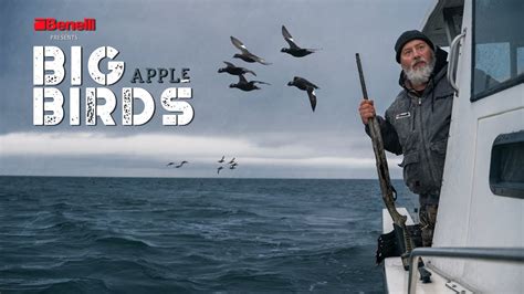 Benelli Presents Big Apple Birds YouTube