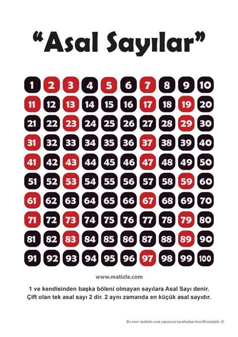 Asal Sayılar Posteri matizle Matematik mizah Temel matematik