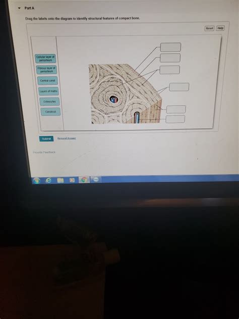Solved Part A Drag The Labels Onto The Diagram To Identify Chegg