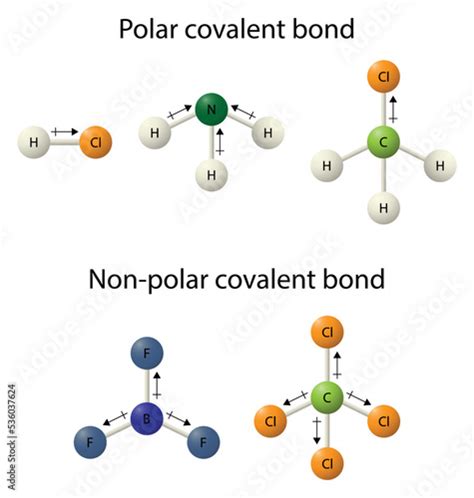 Nonpolar Covalent Bond