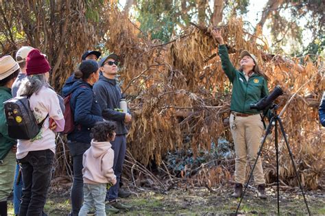 Western Monarch Count Tallies Over Butterflies Xerces Society