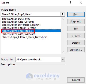 Using A Vba Code To Filter Data In Excel Examples Exceldemy
