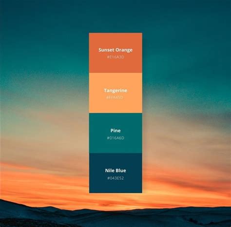 Paleta De Colores Canva Tavolozze Dei Colori Palette Dei Colori