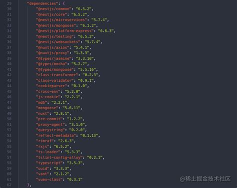 typescript全栈工程实战 nuxt js and nest js 二、《框架融合》 掘金