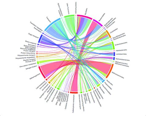 visualizing data with chord diagrams online technical