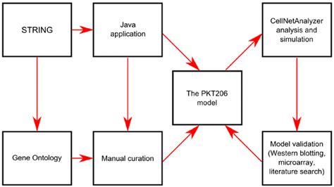 flow chart of pkt206 logical model construction and analysis java download scientific diagram