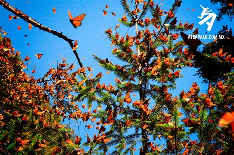 Uno de los acontecimientos naturales más espectaculares que ocurren en