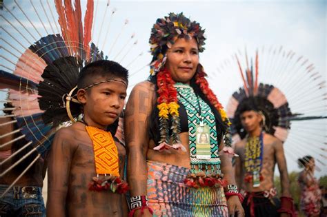 Os Povos Indígenas do Tocantins em 2020 Tribos indigenas do brasil