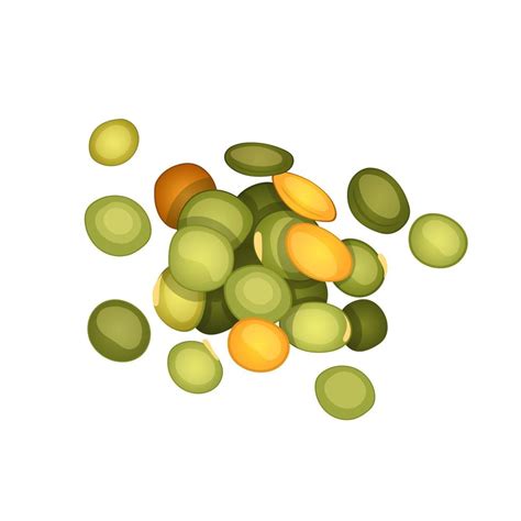 Lentil Seed Cartoon Vector Illustration 21754907 Vector Art At Vecteezy