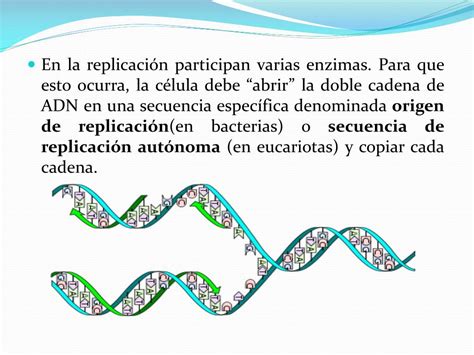 PPT Replicación del ADN PowerPoint Presentation free download ID