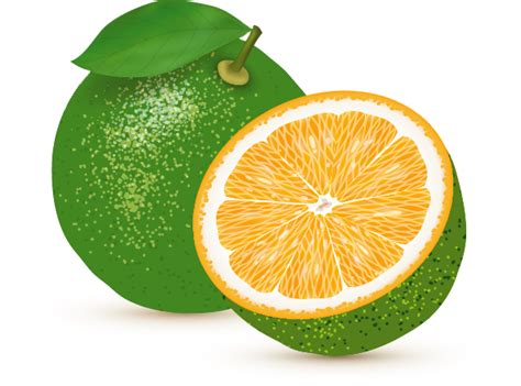 Squeezed 4 U Home Page