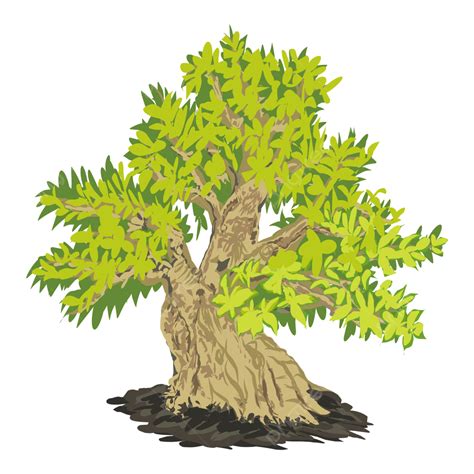 Creative Banyan Vector PNG Vector PSD And Clipart With Transparent