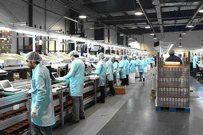 Ejemplos de empresas industriales Modelos muestras y características