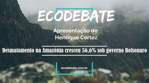 Desmatamento na Amazônia cresceu 56 6 sob governo Bolsonaro YouTube