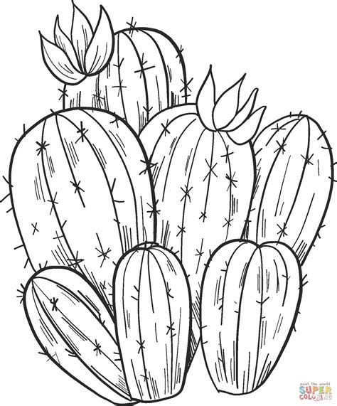 Coloriage Cactus Coloriages Gratuits à Imprimer