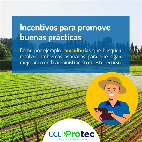 Cómo fomentar un mayor cuidado del agua en la agricultura Protec