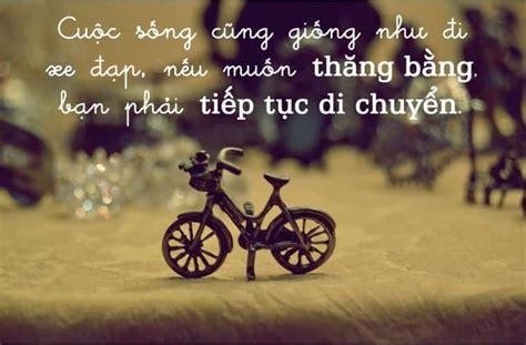 Những câu châm ngôn cuộc sống và tình yêu ý nghĩa nhất những câu nói