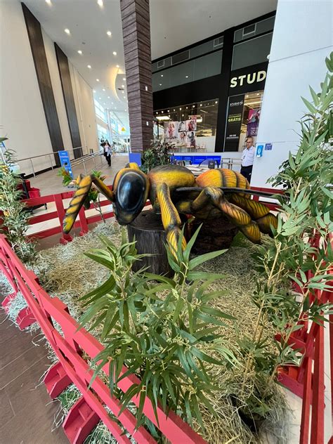 Muralzinho de Ideias Programação nos Shoppings de Curitiba e Região