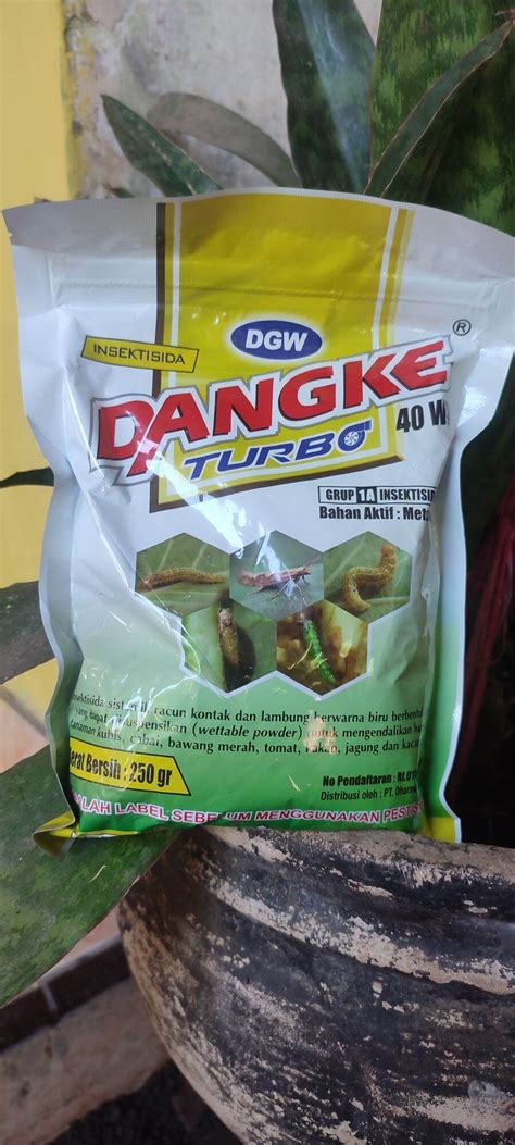 Insektisida DANGKE TURBO 40 WP 250 GRAM Lazada Indonesia