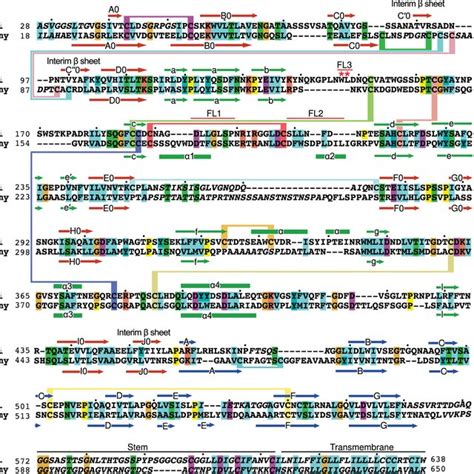 Structure Based Sequence Alignment Of Cyani And Chlamy Hap D D And