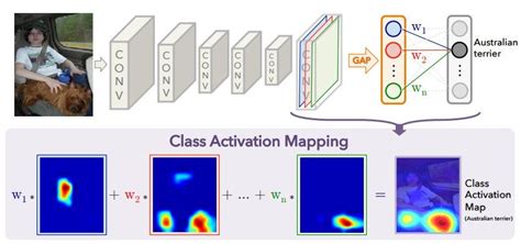 Demystifying Convolutional Neural Networks Using Class Activation Maps By Divyanshu Mishra