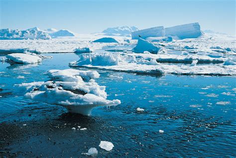 E Reale L Attuale Aumento Dei Ghiacci Marini Antartici Museo