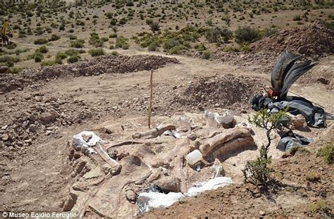 Scientists Find Largest Dinosaurs Titanosaur Fossil Daily Mail Online