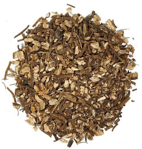 Angelica Root Wild Crafted Dried Cut Angelica Archangelica Officinalis