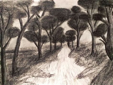 Dibujo de sendero bosque a lápiz Mascotas bonitas Mascotas Bosque