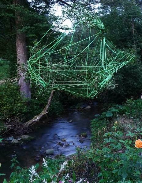 Tree Bondage