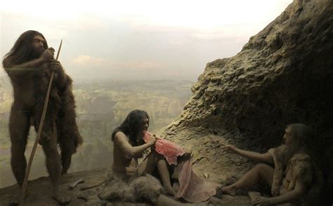 HOMO SAPIENS Características Herramientas SobreHistoria