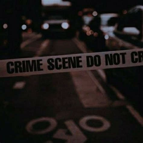 Alex Shepard Wiki Criminal Minds Amino
