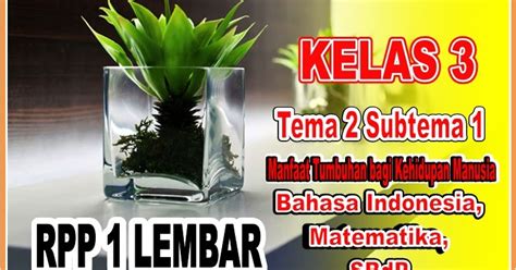RPP 1 Lembar Kelas 3 Semester 1 Tema 2 Subtema 1 Manfaat Tumbuhan Bagi