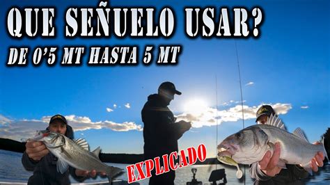 MEJORES SEÑUELOS PARA LA PESCA DE LA LUBINA segun zonas de pesca