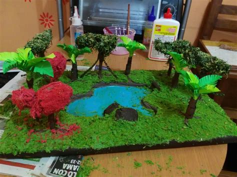 Pin De Dalet Vilchis En Maqueta Selva Humeda Maquetas De Ecosistemas