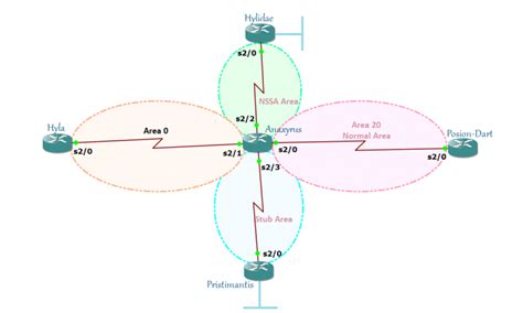 The OSPF Area Types Sass Learns