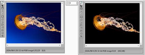 color image segmentation based on k means clustering using labview my xxx hot girl